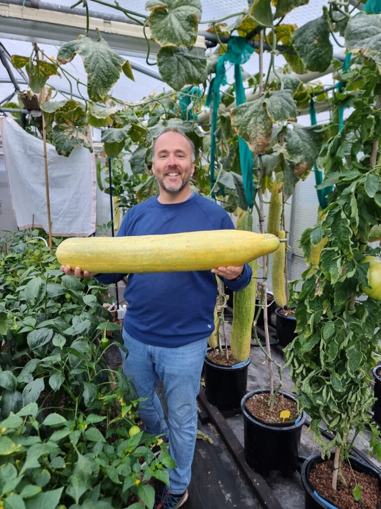 Giant Cucumber (Heavy)